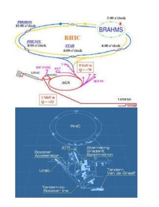 A brief study of RHIC detectors. - research journal