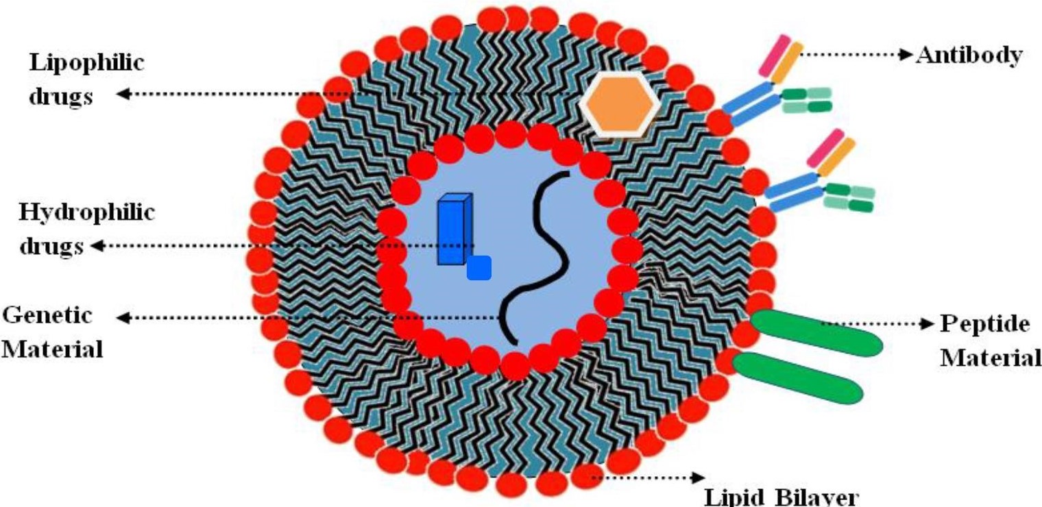 Nanotechnology in Pharmaceutical Science: A Concise Review - research journal