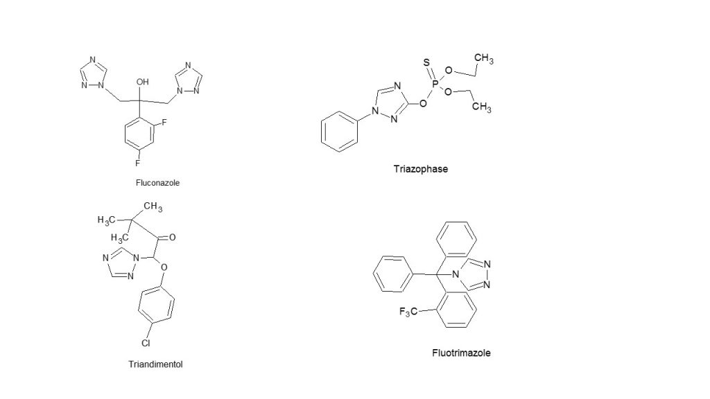 Emphasis on Chemistry and Biological Activities of Triazole nucleus ...